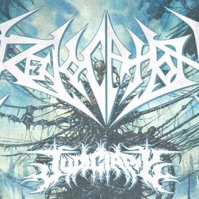 Revocation Announce New Album and 2025 Fall Tour Dates – News ...
